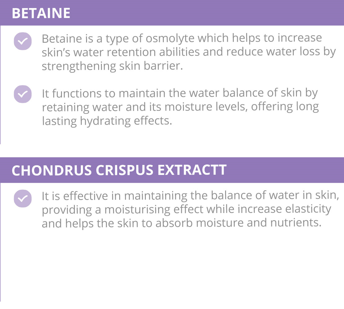 Return Legacy Ecommerce Singapore